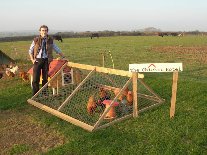 The Chicken Hotel - Backyard Poultry
